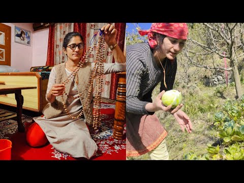 3 दिन की दिनचर्या का vlog.#bari #nichar #kinnaur #hp - YouTube