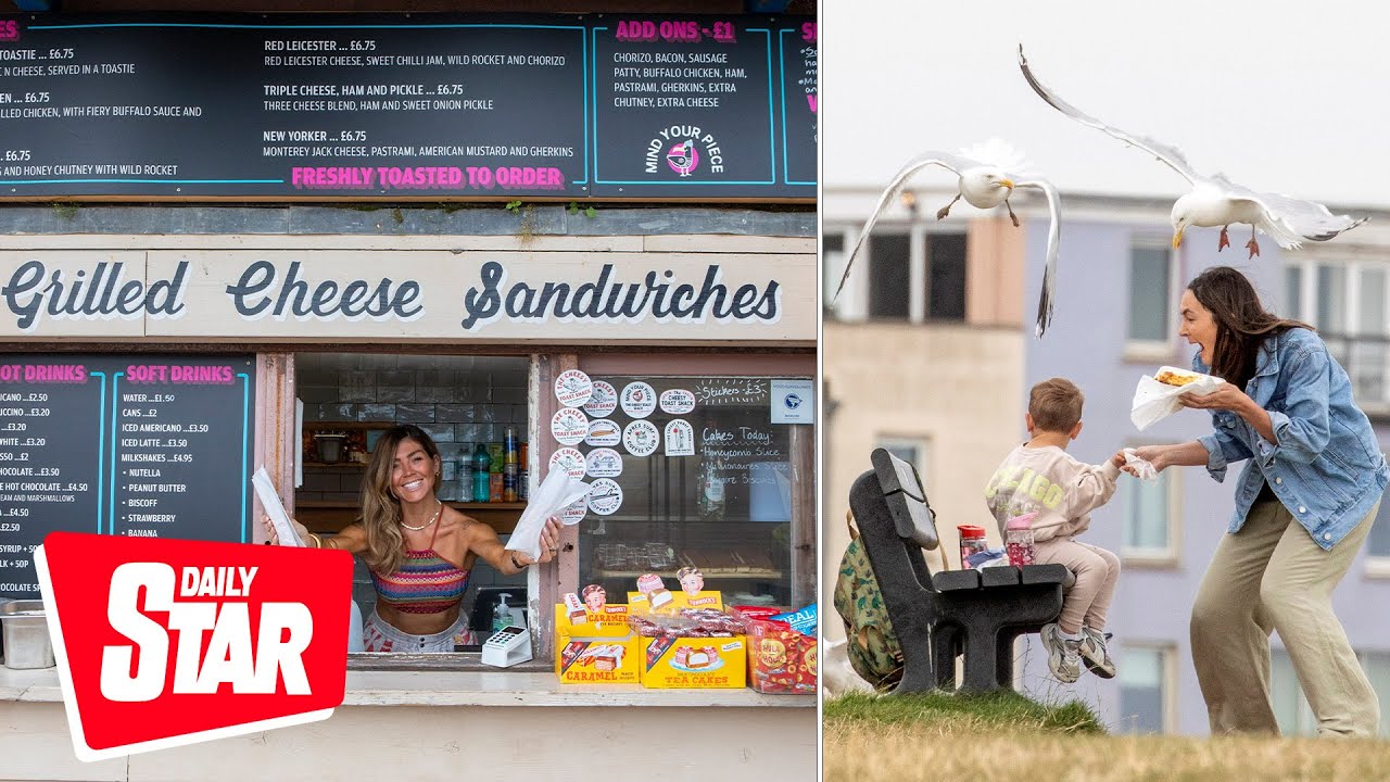 Sandwich shop's 'seagull insurance' plan after birds keep snatching ...