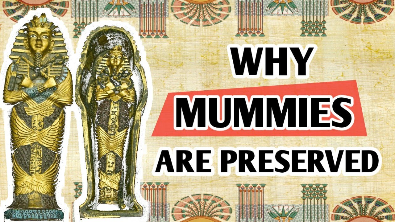 Why MUMMIES are preserved || Process of Mummification - YouTube