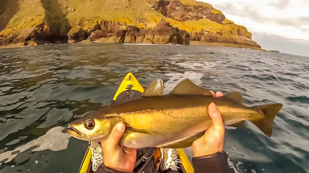 Kayak Sea Fishing: Trolling for Pollock at St Abbs UK - GoPro - YouTube