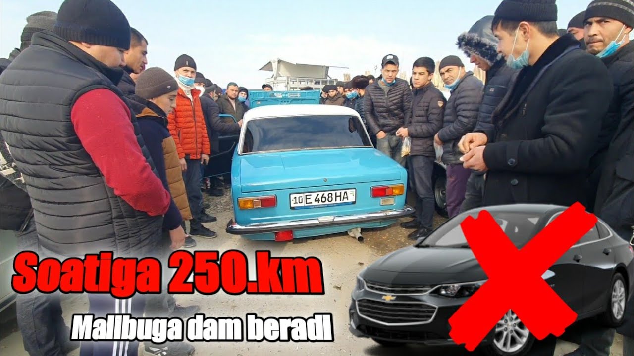 BU JIGULI MALIBUGA DAM BERADI.AVTO OLAM - YouTube