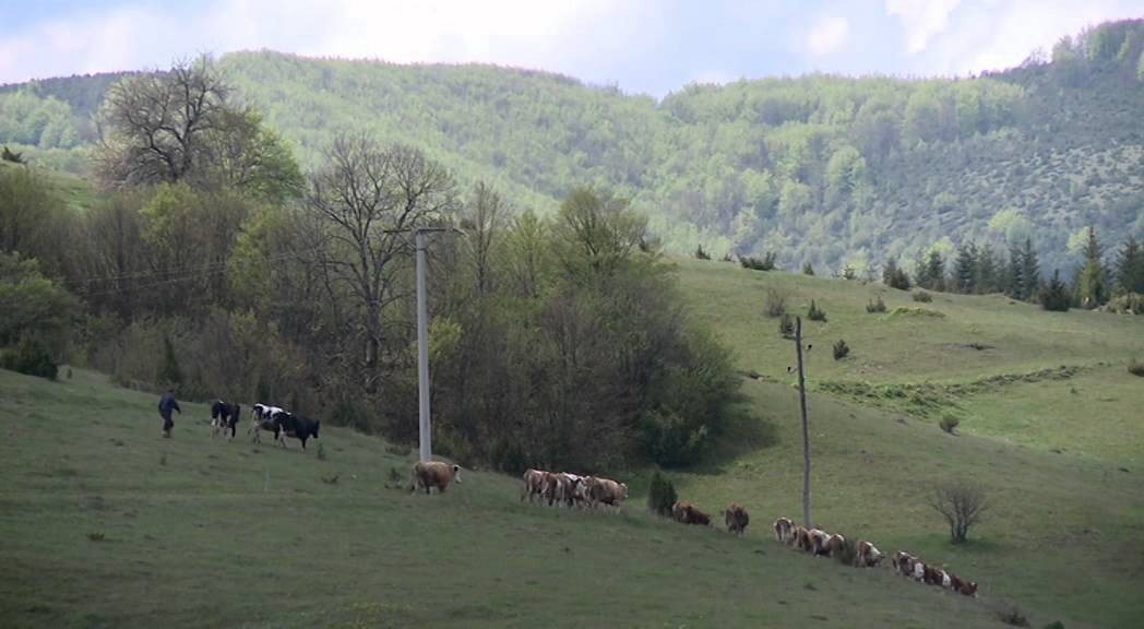 US Television - Bosnia and Herzegovina - Farmland - YouTube