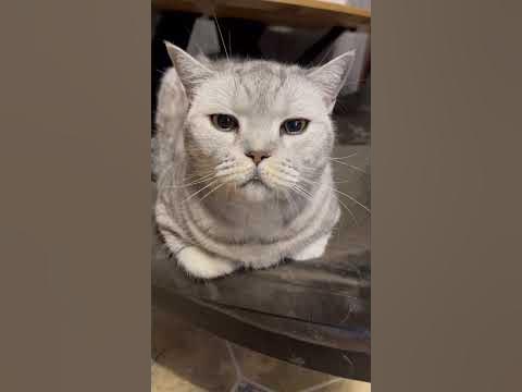 Каникулы кончились 🙈 - YouTube