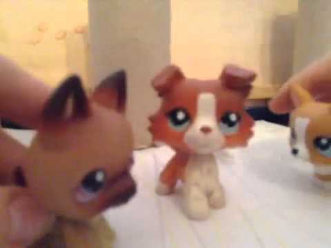 Lps the age of the dinosaurs episode 1 - YouTube