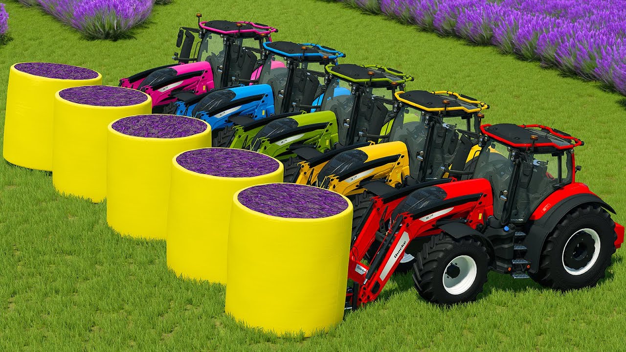 HARVEST, LOAD AND TRANSPORT LAVENDER BALES WITH VALTRA TRACTORS ...