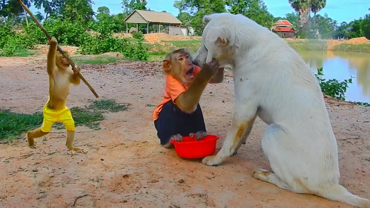 Please Cool ! SokYaa Angry OG Cos He Service Forever - YouTube