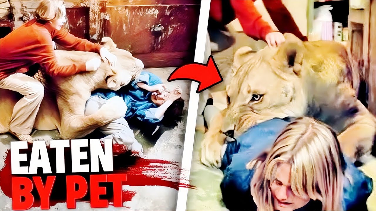 These 4 Pets ATE Their Owners ALIVE in Front Of EVERYONE! - YouTube