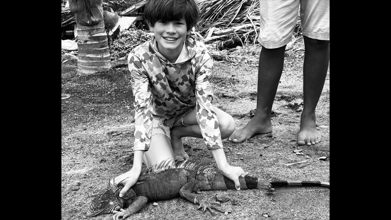 I caught an iguana #jesus #iguana - YouTube