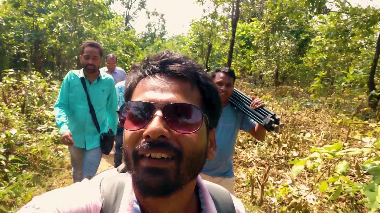 Saranda jungle.. a secret mine of silk.. - YouTube