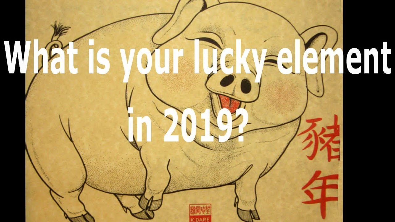 What is your Lucky Element in 2019 in the Year of the Earth Boar? - YouTube