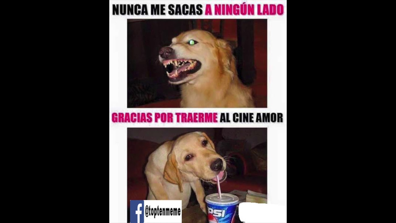 TOP TEN MEMES NOVIAS Y EX #1 - YouTube