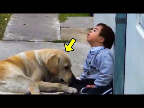 Down Sendromlu Çocuk Kimseyle Oynamıyor, Köpek Ona Yaklaşıyor ve İnanılmaz Bir Şey Oluyor