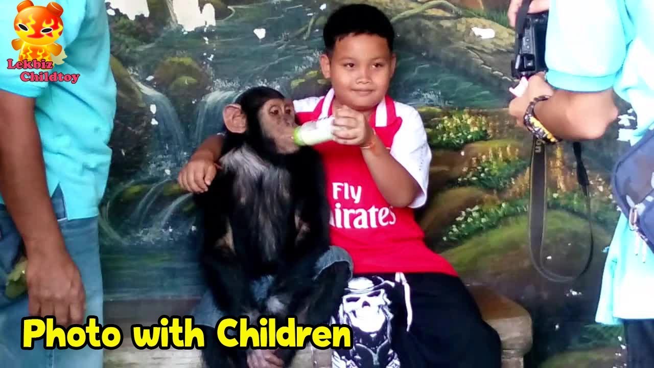Friendly!!! The Chimpanzee take photos with human - YouTube