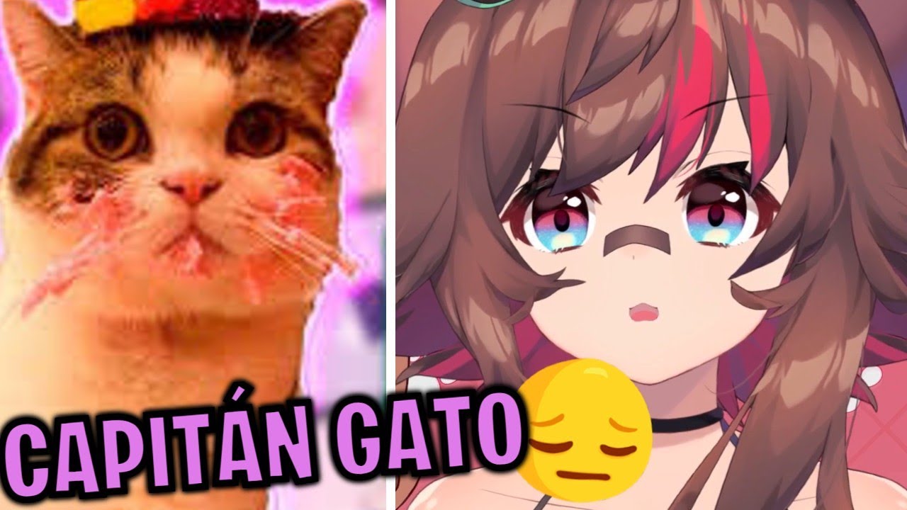 Rakkun reacciona a Capitán gato (se parecen mucho ) - YouTube