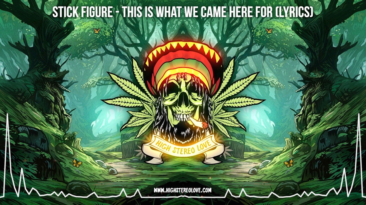 Stick Figure - This Is What We Came Here For 🌿 (Lyric Video / New Roots ...