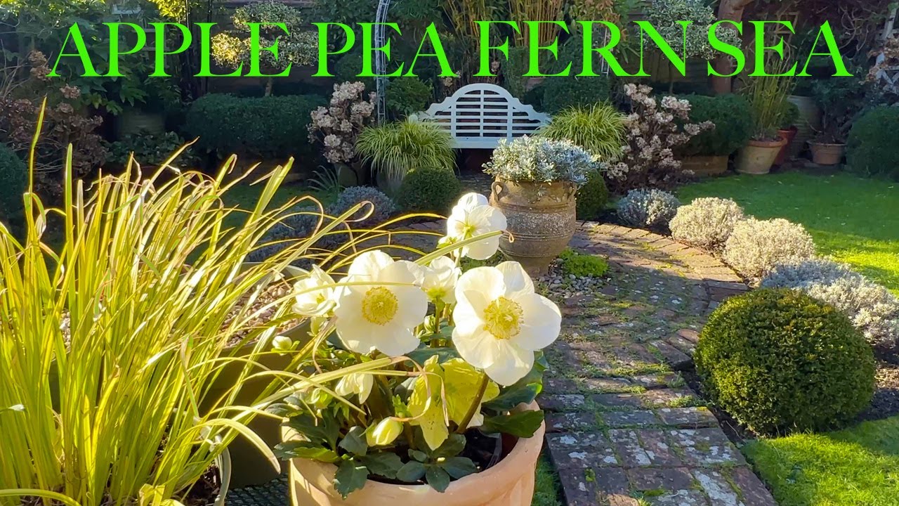 Beautiful January Garden Tour plus Our Secret Garden | Small Space ...
