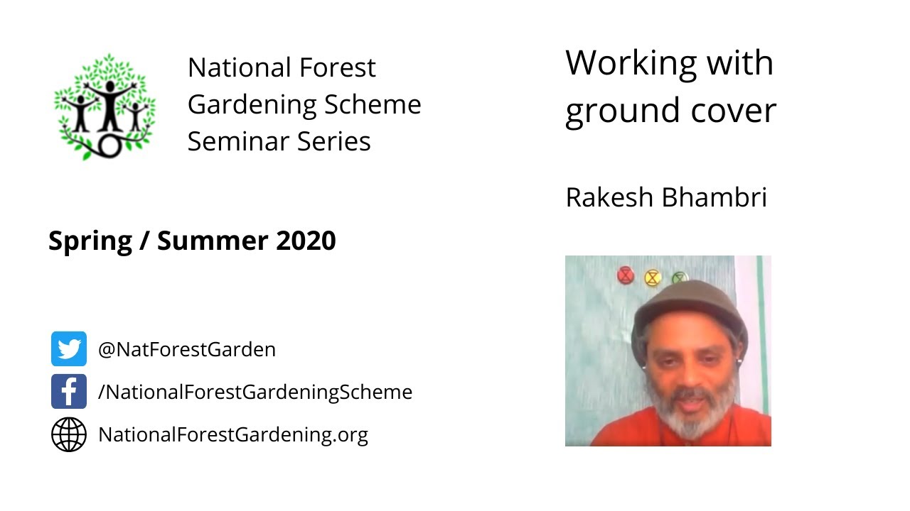 NFGS Seminars 2020 | Working with ground cover in your forest garden ...