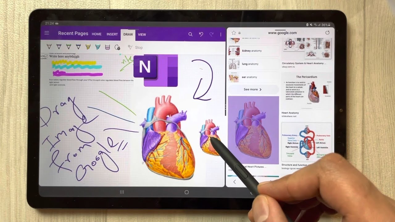 How to Insert Image in Microsoft OneNote - Directly from Google - YouTube
