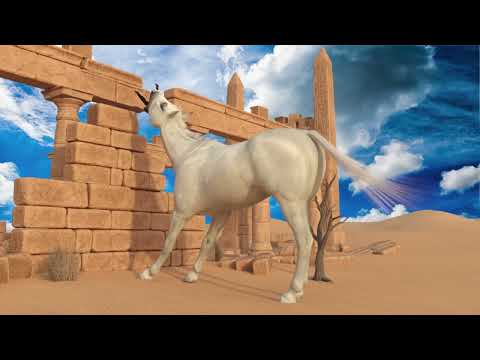 Animation test - Arabian horse and Sahira C