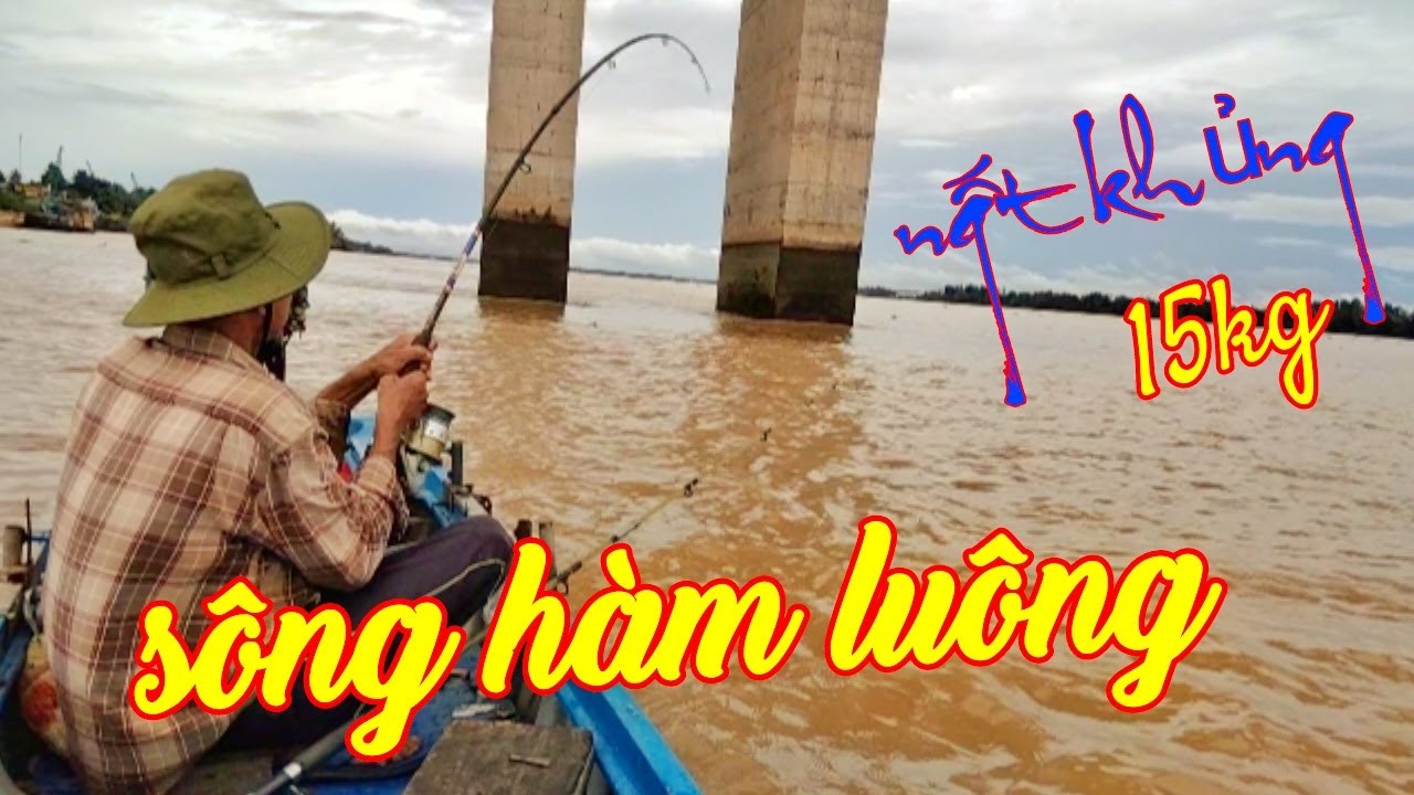 các bạn câu tập trung móng cầu hàm luông câu con cá ngát 15 kg trúng ...