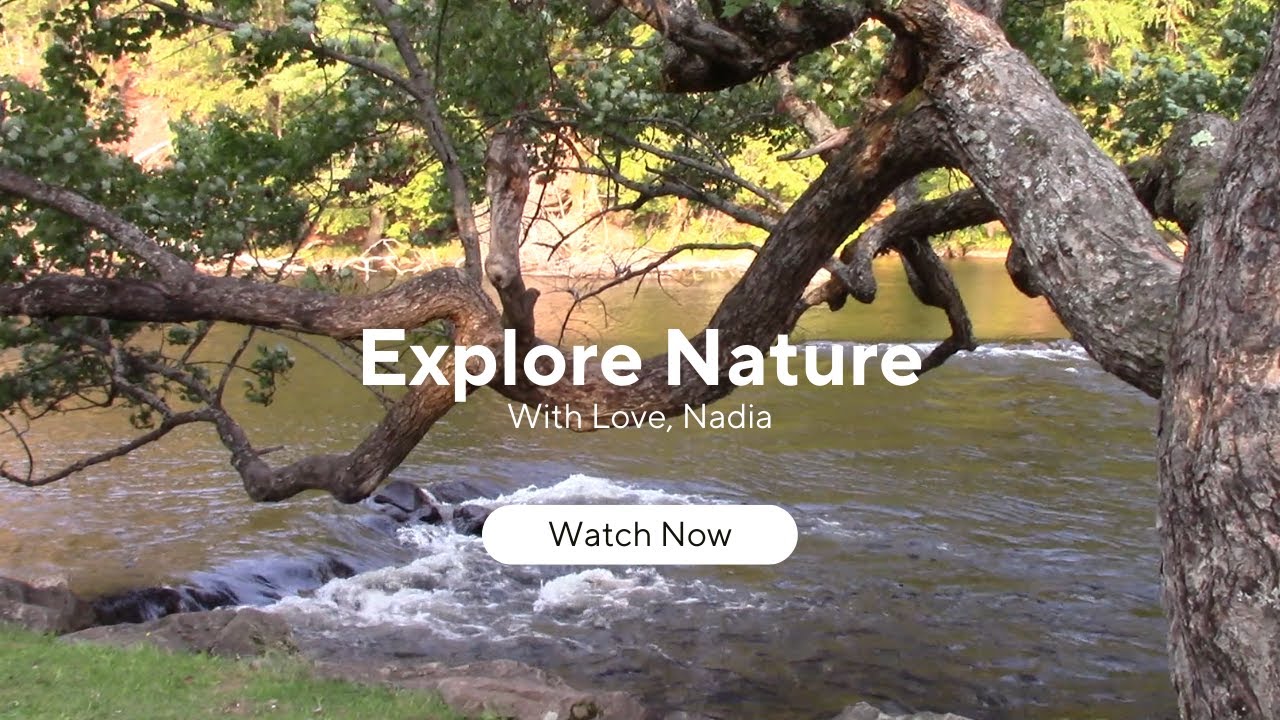 Explore The Nature, Part 1 - YouTube