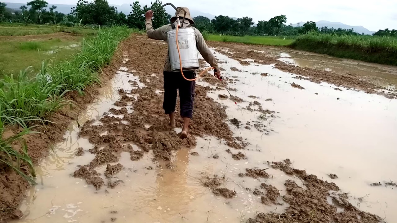 Proses pengaplikasian Eco Farming pada lahan tandus,desa pragen pamotan ...