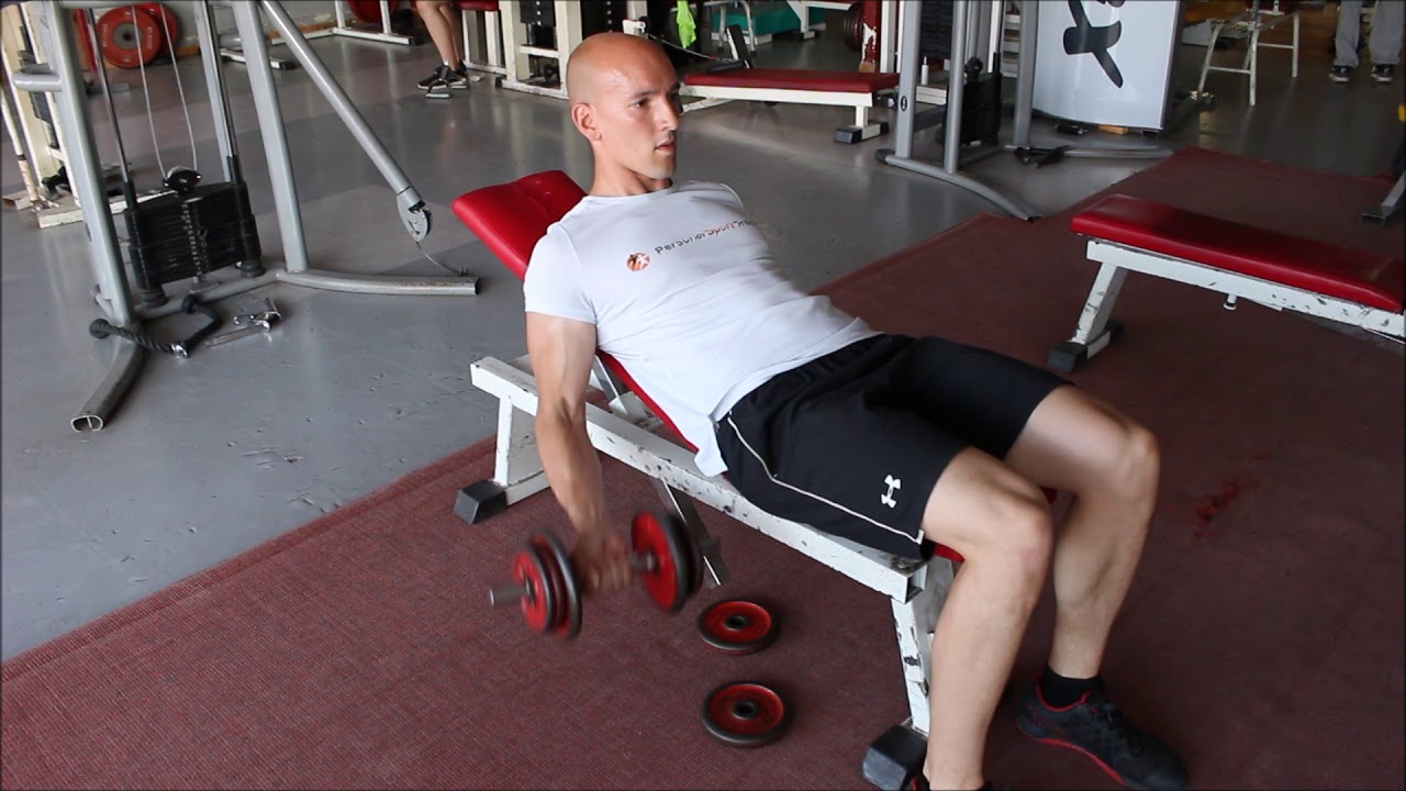 Le curl incliné, un exercice d'isolation des biceps - YouTube