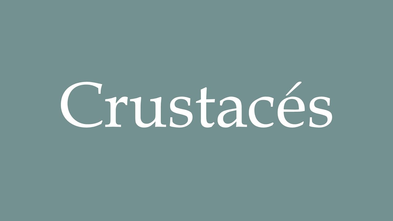 How to Pronounce ''Crustacés'' (Crustaceans) Correctly in French - YouTube