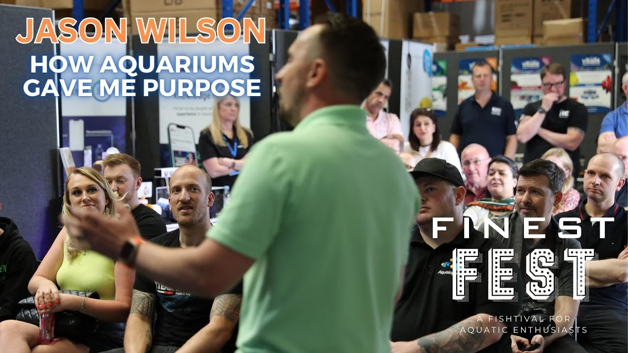 How Aquariums Gave Me Purpose: Jason Wilson's Inspiring Story at Finest ...