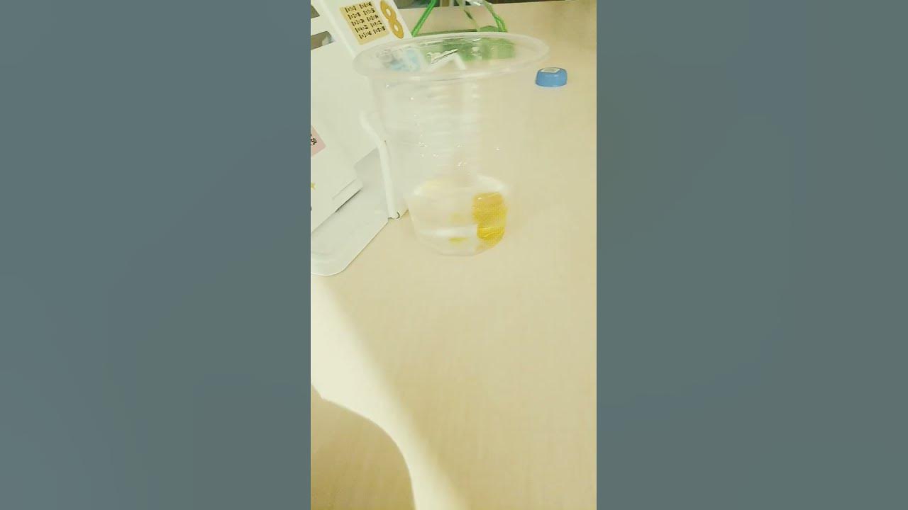 мачя - YouTube