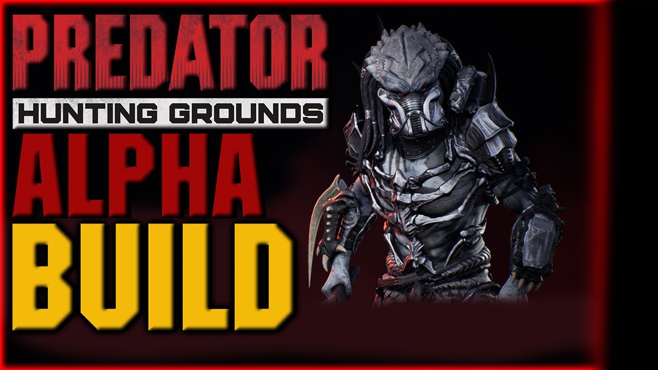 ALPHA Assassin Build | Predator Hunting Grounds - YouTube
