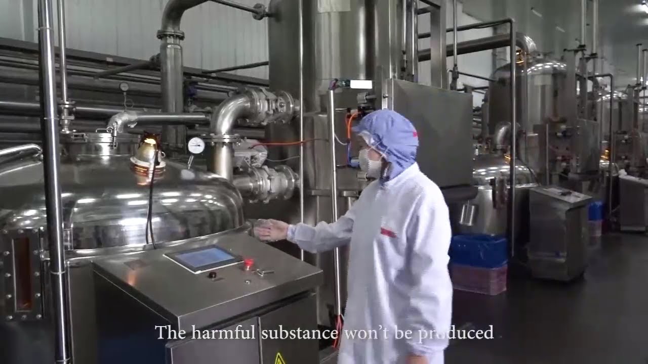 vegetable and fruit vacuum frying line plant real working site of ...