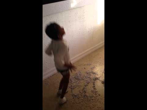 BCR enjoying snow in Florida