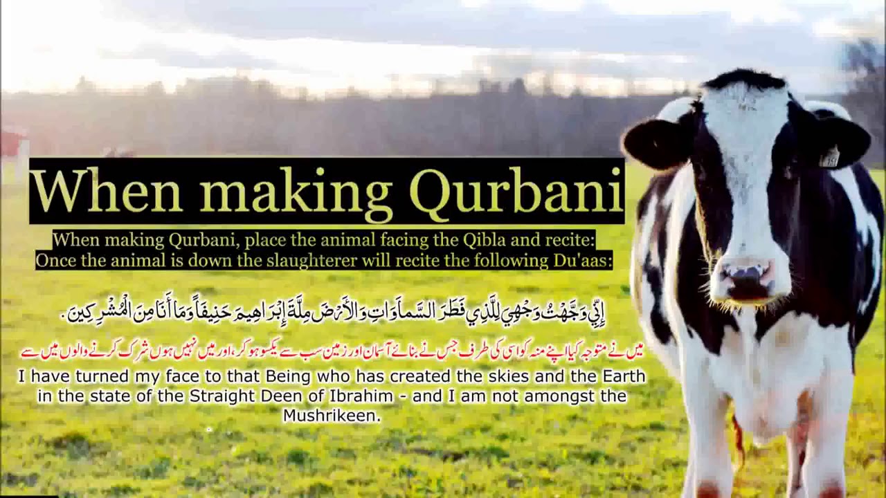 HAJJ 2017 - Dua for Sacrifice or Slaughtering an Animal - Qurbani Ki ...