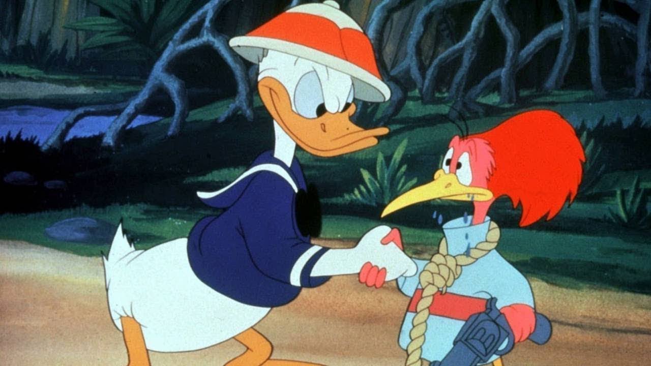 Donal Duck Clown of the Jungle Mickey Donald Duck Goofy Moving Day ...