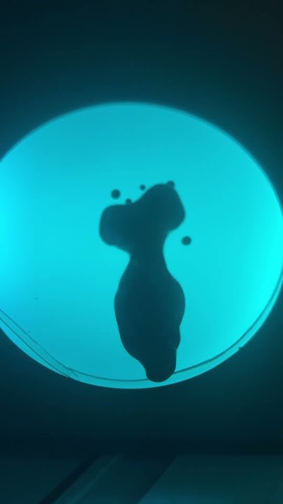 Dancing blob - YouTube