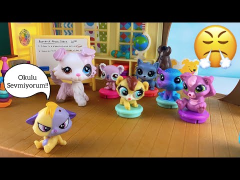 Minişler: Okulu Sevmiyorum!?!