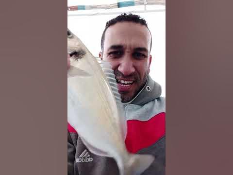 #صيد سمك دنيس تسقيط - YouTube