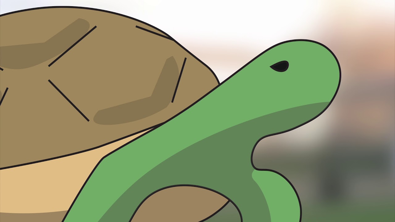 Tortoise Roller Shoes Advert - YouTube