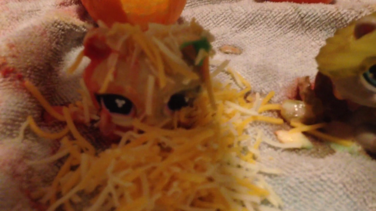 Lps eat it or wear it - YouTube