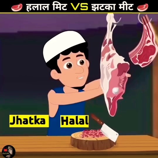 हलाल और झटका में क्या फर्क है ? | Difference between Halal Meat and ...
