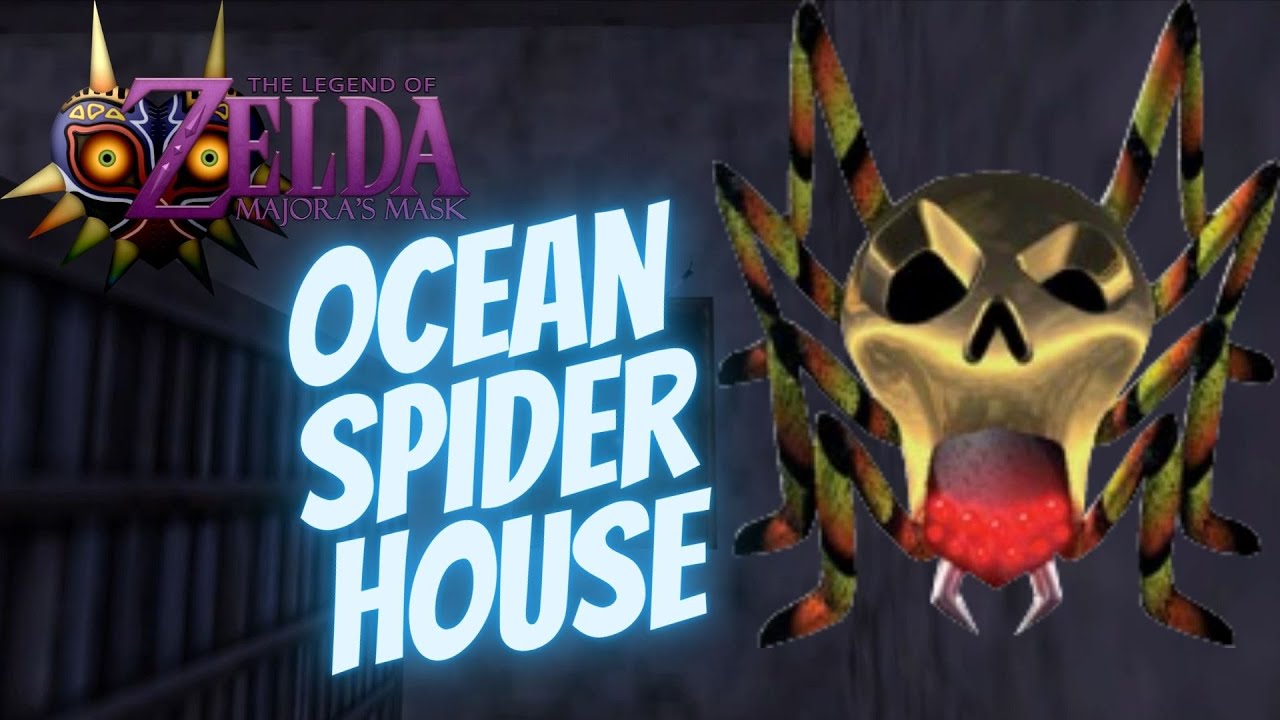 Oceanside Spider House Chlorophytum Comosum Ocean | Spider Plant