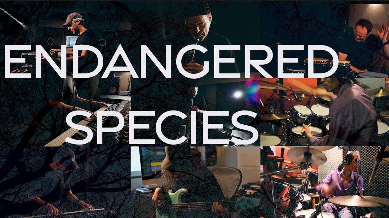 "Endangered Species" (Wayne Shorter & Joseph Vitarelli) Performed by ...