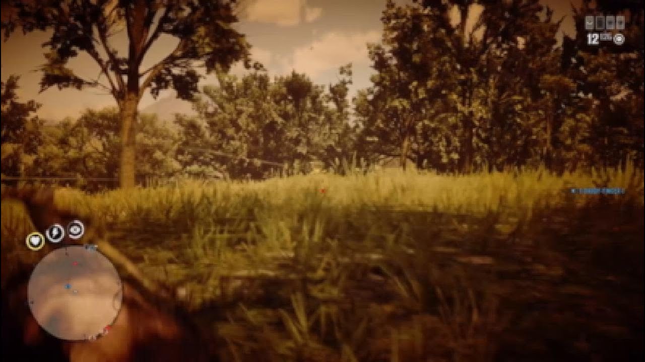 Red dead Online trolling people - YouTube