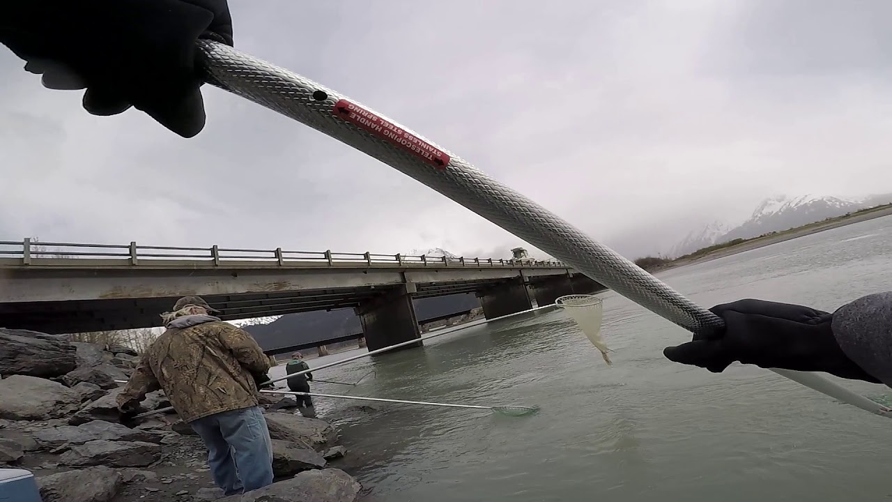 Alaska Dip-Netting - Hooligan Fish @ 20 Mile River - YouTube