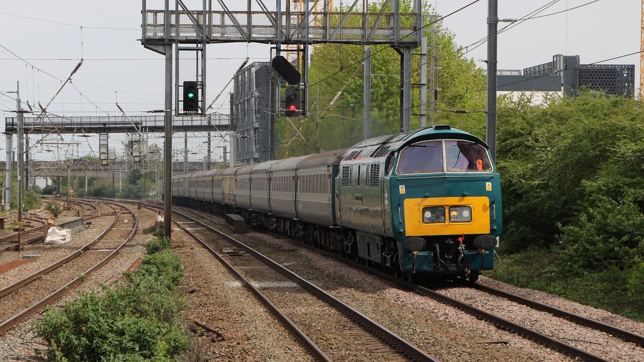 D1015 “Western Champion” returns in style! The One Way Wizzo | 14.4.24 ...