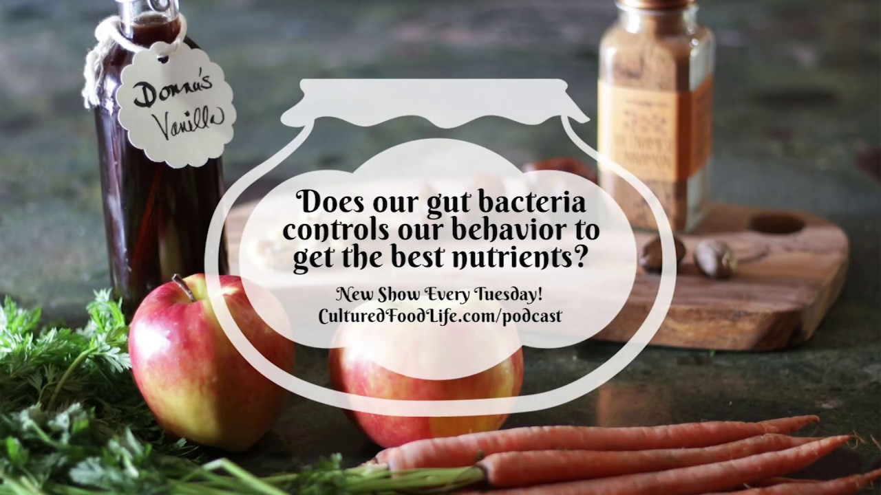 Podcast Episode 42: Does our gut bacteria control our behavior to get ...