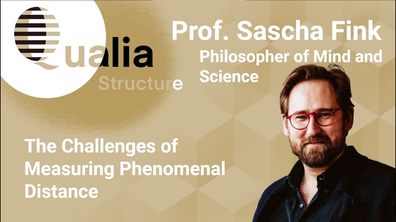 Prof. Sascha Fink: Phenomenal Distance - YouTube