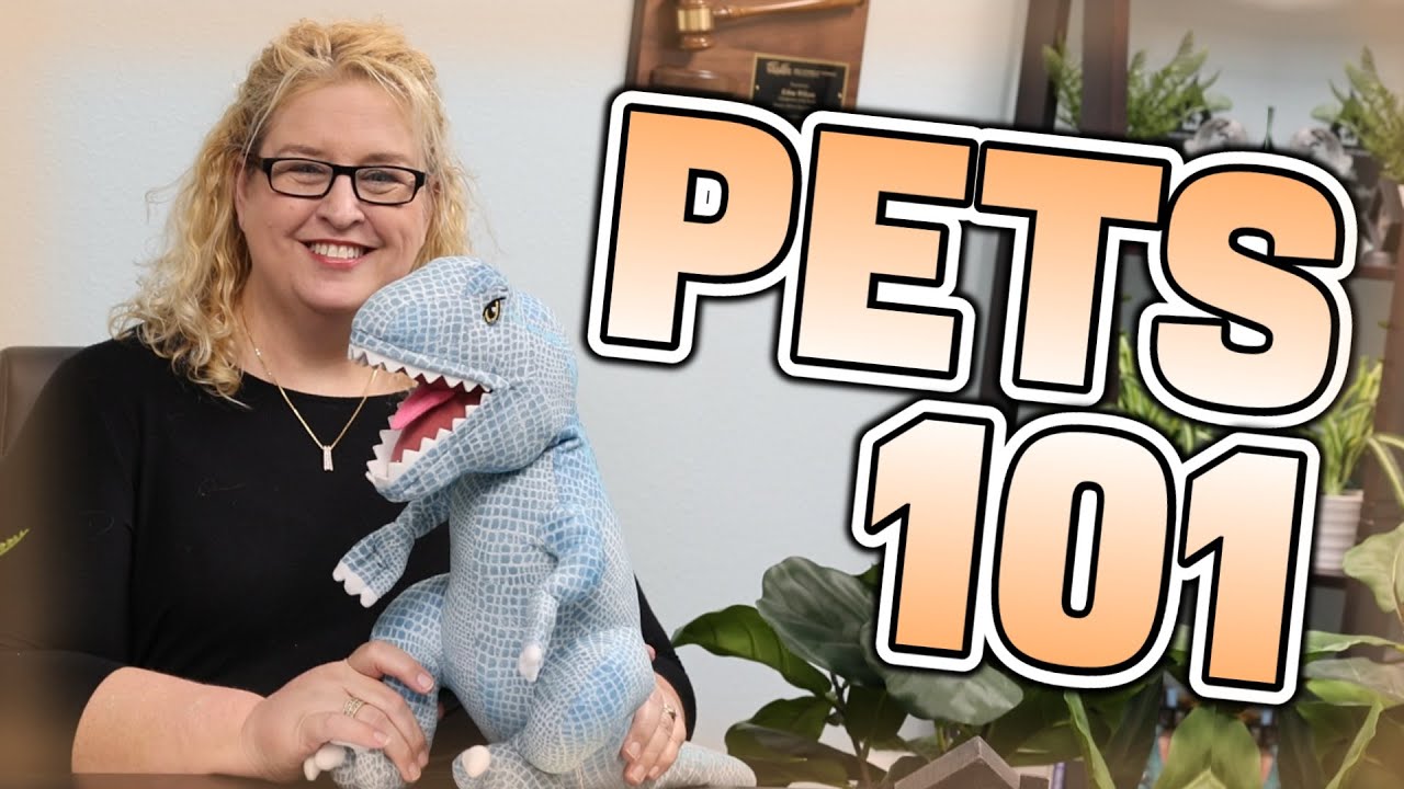 Moving with Pets 101! 🐈 - YouTube