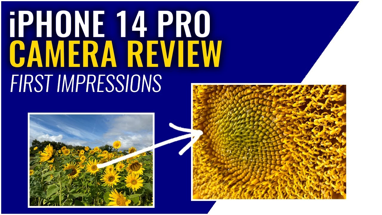 iPhone 14 Pro Camera Review | Hands on with iPhone 14 Pro camera in ...